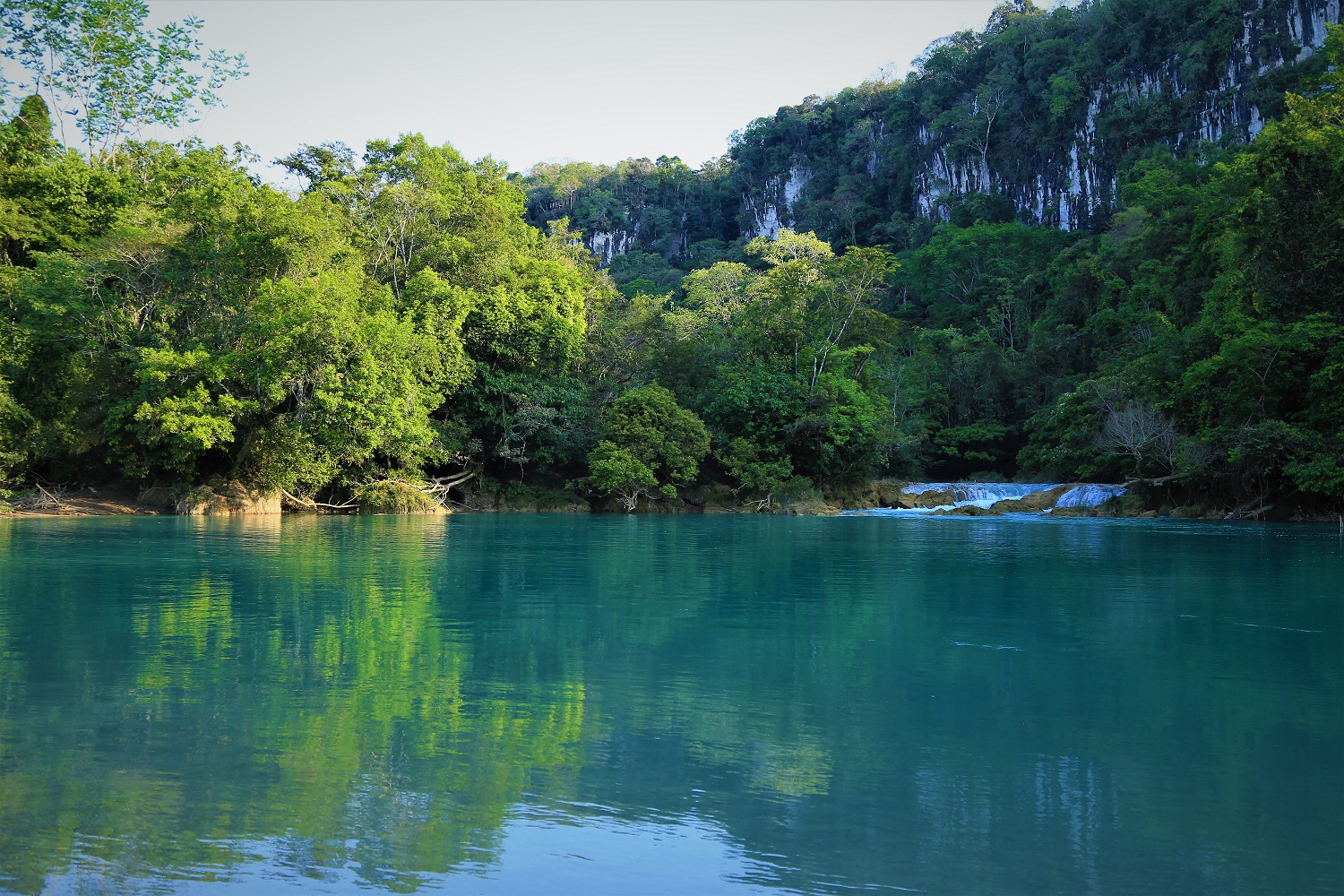 Explorando la Selva Lacandona: Ecoturismo y Conservación en Chiapas ...
